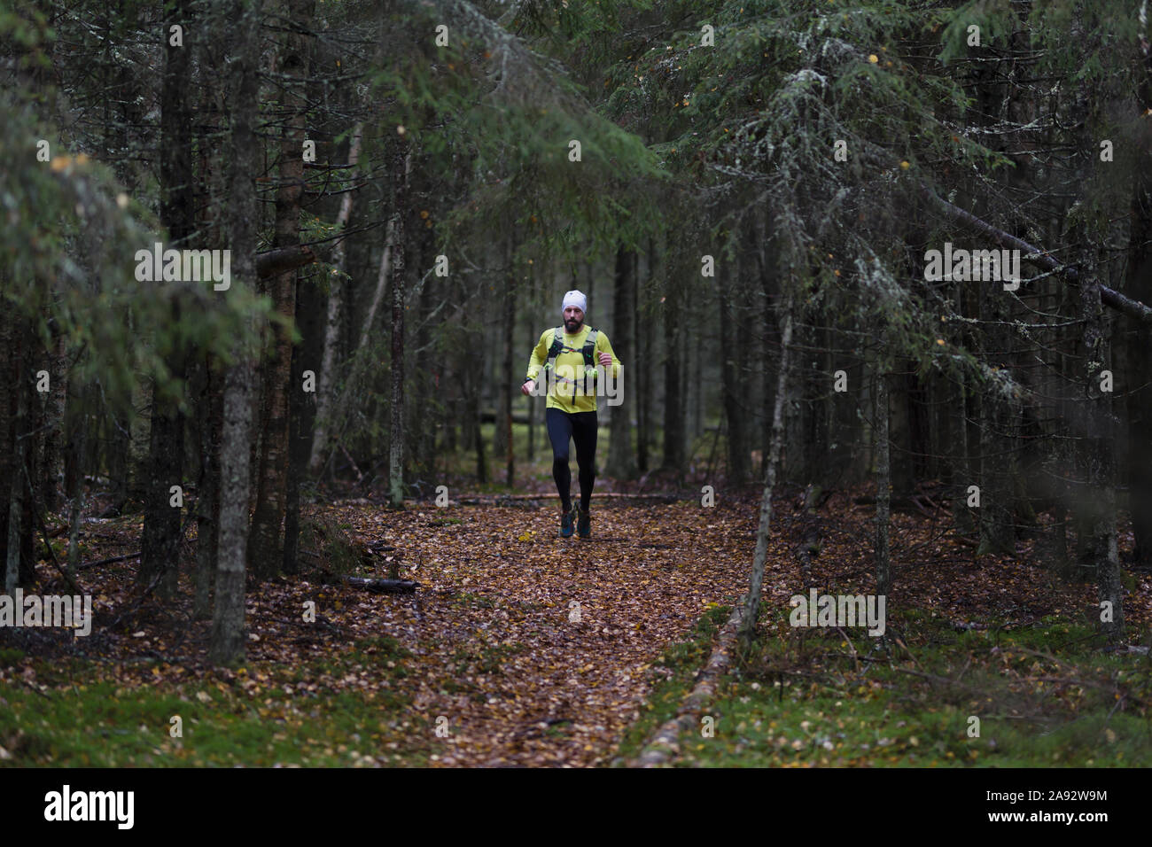 Man running in forest hi-res stock photography and images - Alamy