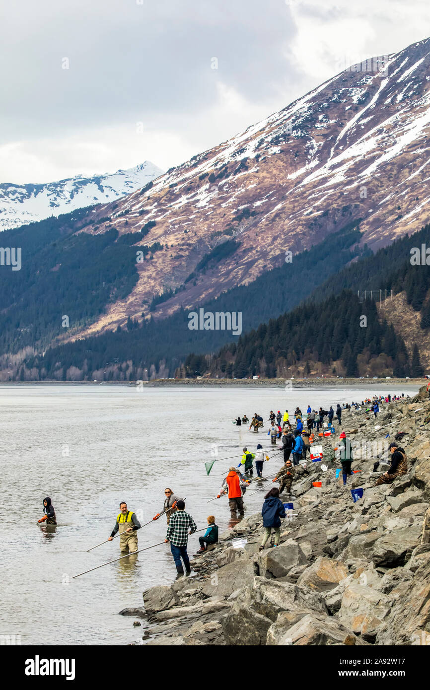 People dipping for Hooligan in Turnagain Arm right next to the Seward ...