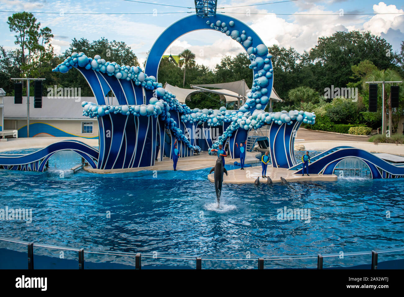 Orlando, Florida. November 06, 2019. Trainer jumping on dolphin at ...