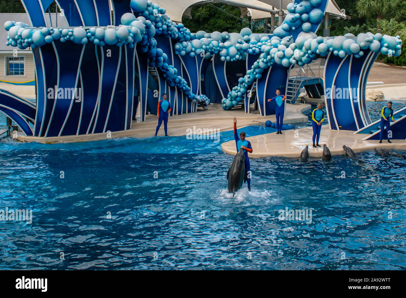 Orlando, Florida. November 06, 2019. Trainer jumping on dolphin at ...