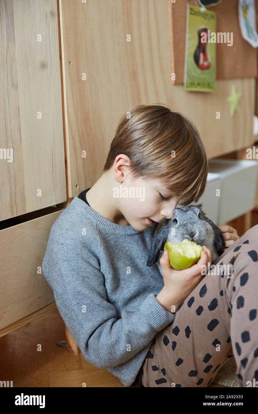 Boy with rabbit Stock Photo - Alamy