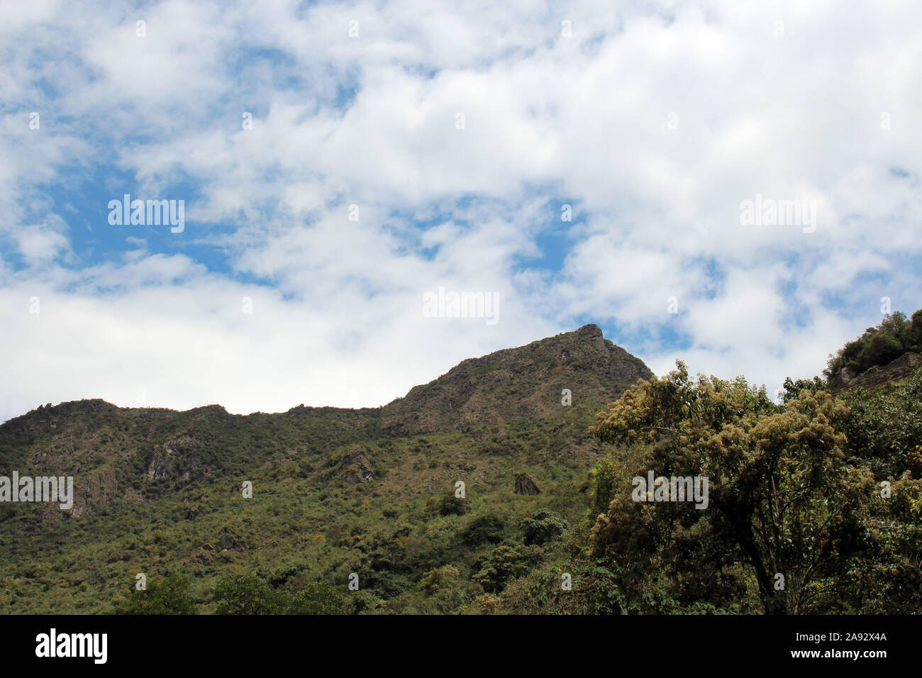 A peak in the Vilcabamba mountain range covered with grasses, shrubs ...