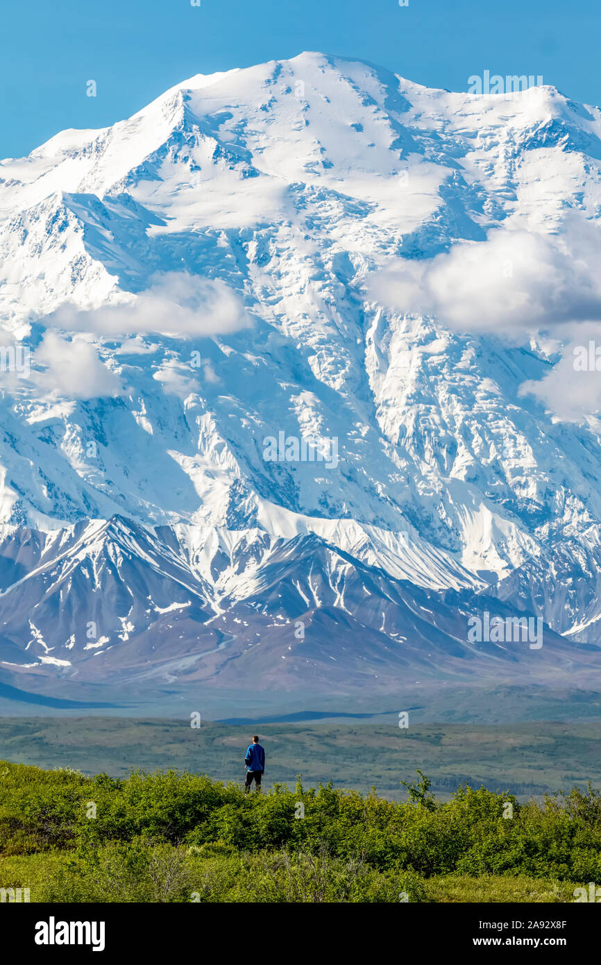The mountain Denali in Denali National Park and Preserve, viewed from ...