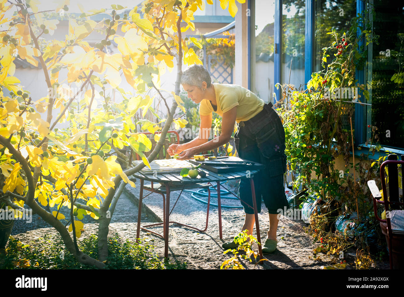 Prepare garden hi-res stock photography and images - Alamy