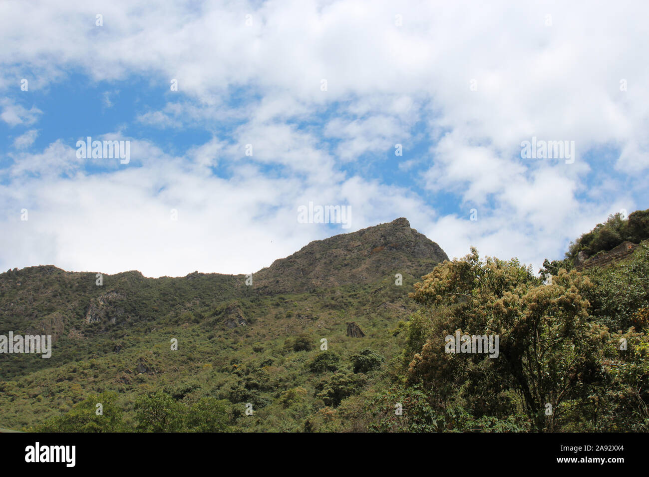 A peak in the Vilcabamba mountain range covered with grasses, shrubs ...