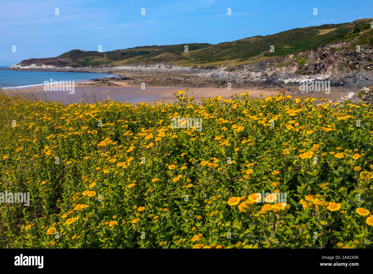 Barricane bay hi-res stock photography and images - Alamy