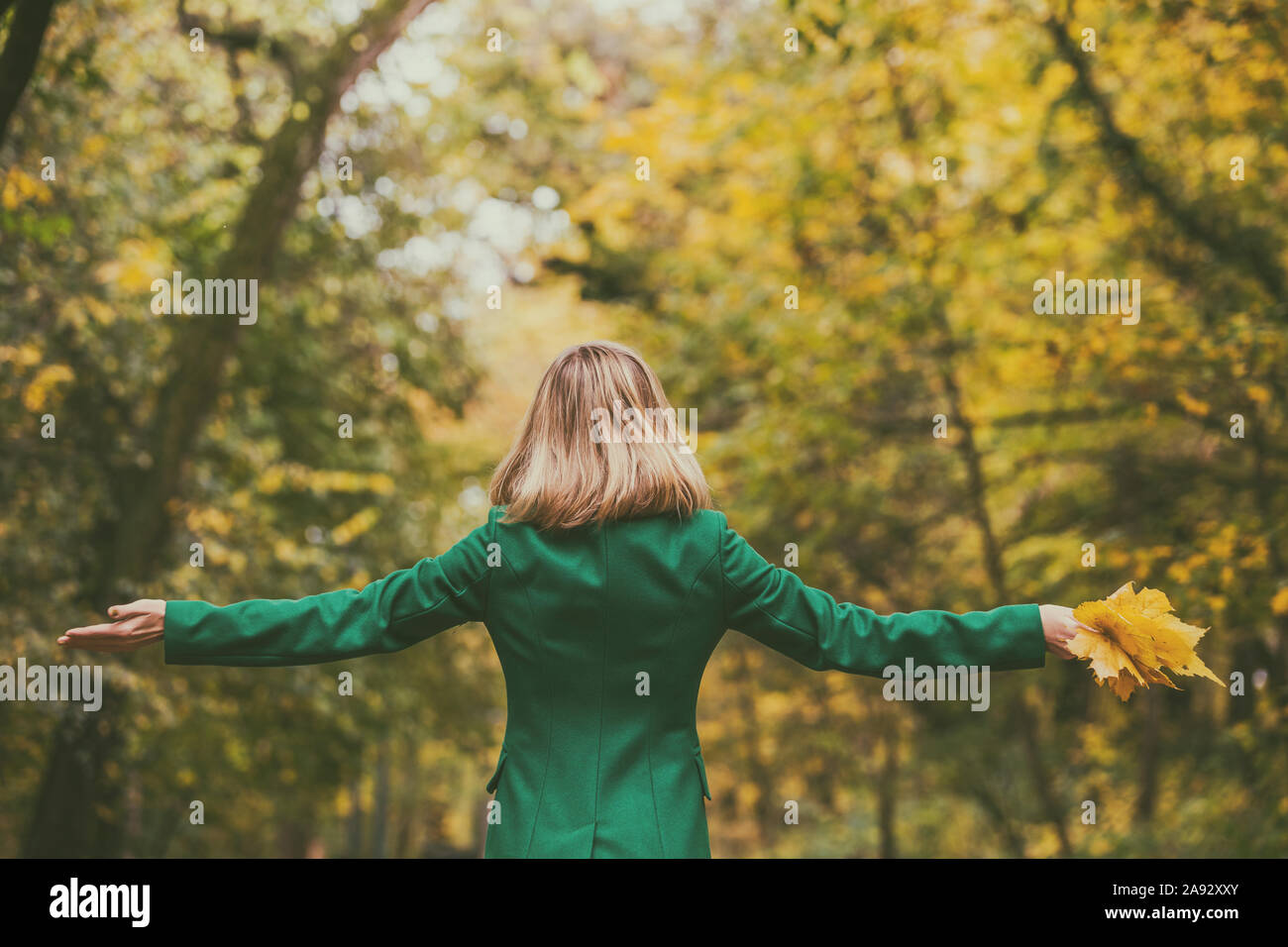 Woman with her arms outstretched holding fall leafs and enjoys in ...