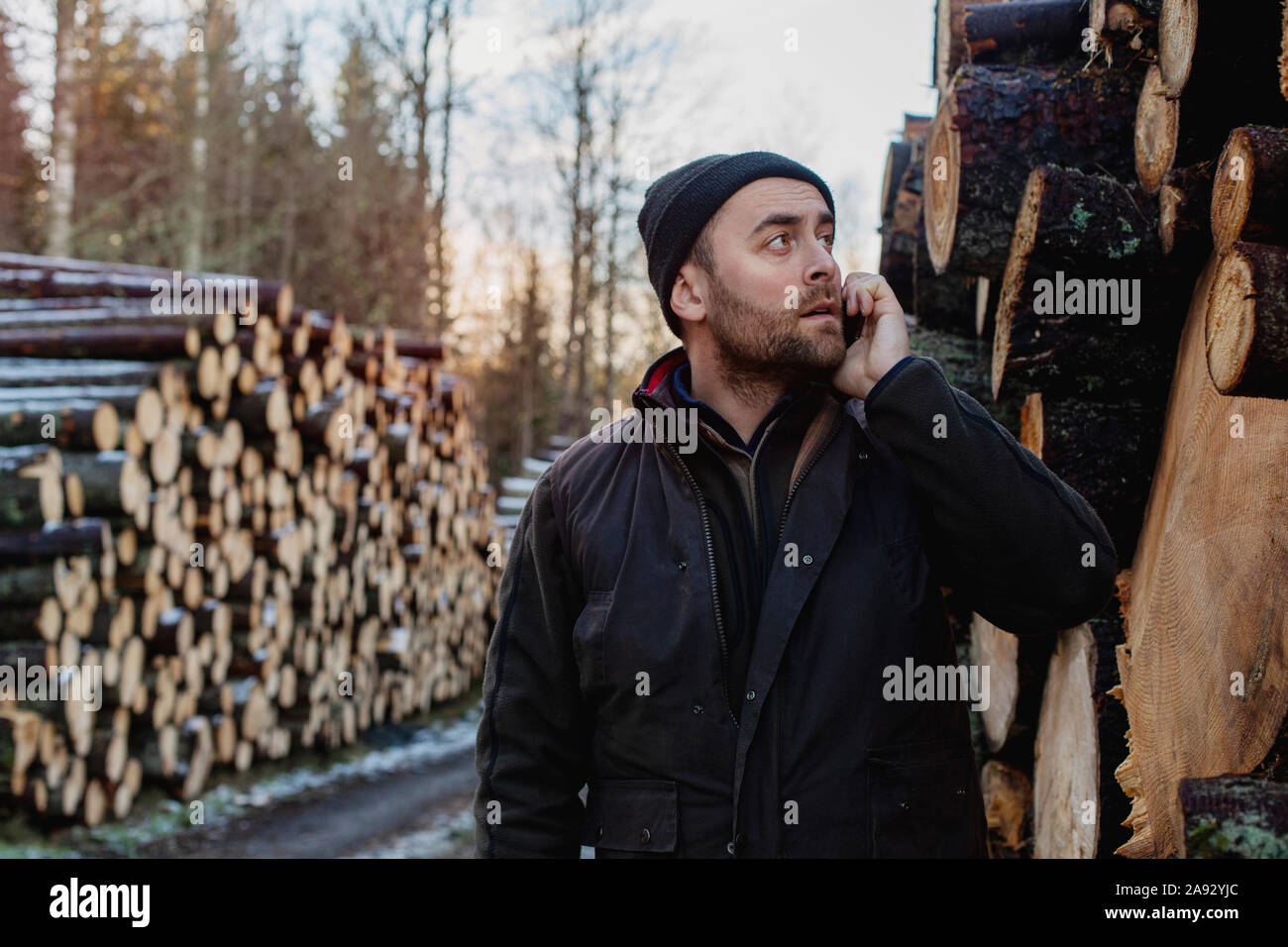 Man talking on phone forest hi-res stock photography and images - Alamy