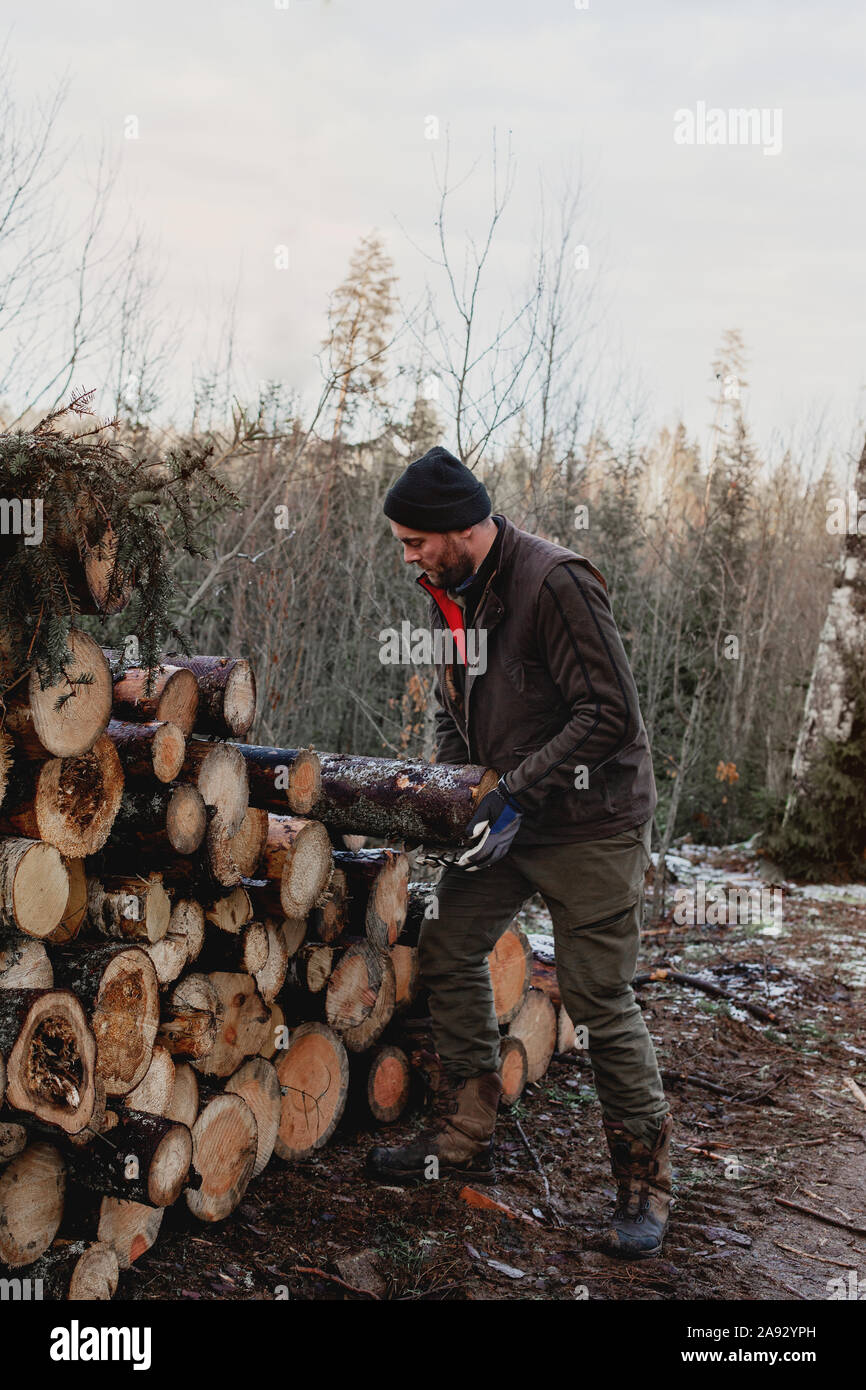 Full length logs hi-res stock photography and images - Alamy