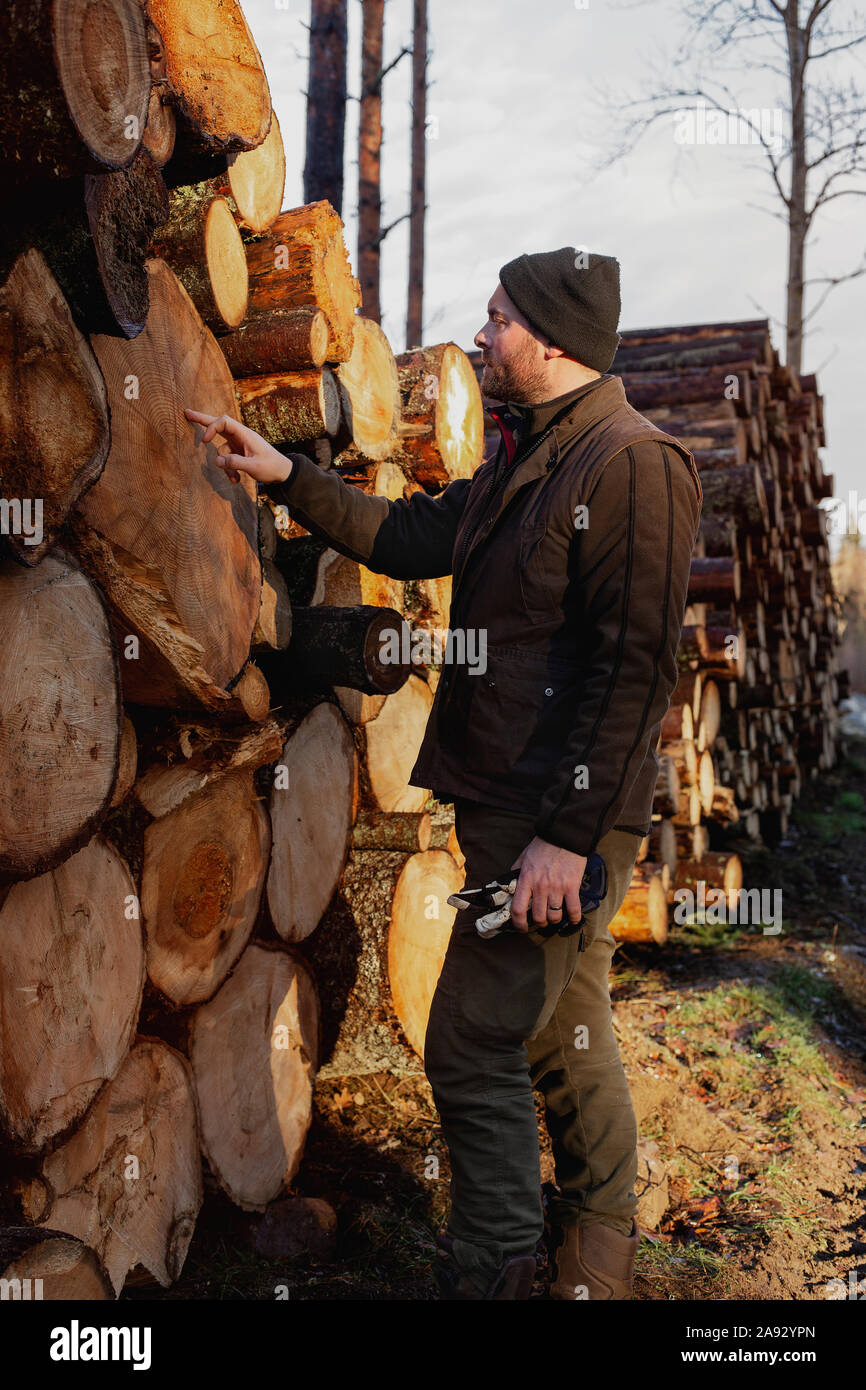 Full length logs hi-res stock photography and images - Alamy