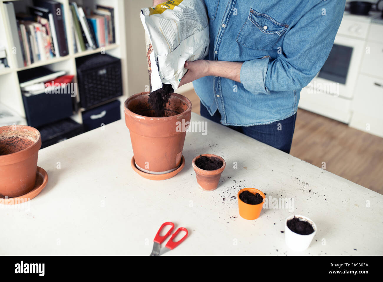 Man putting soil into flower pots Stock Photo - Alamy