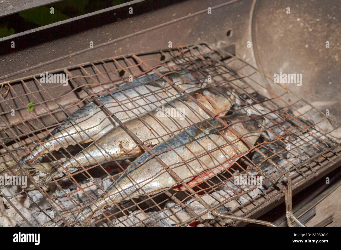 Grilled smoked Golden mackerel fish outside late at night Stock Photo ...