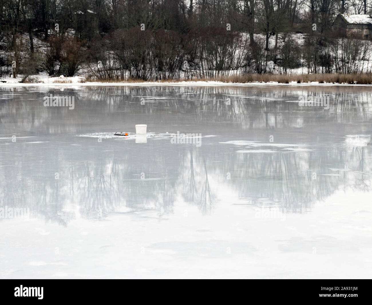 abstract blurred picture with tree glare on melted ice Stock Photo - Alamy
