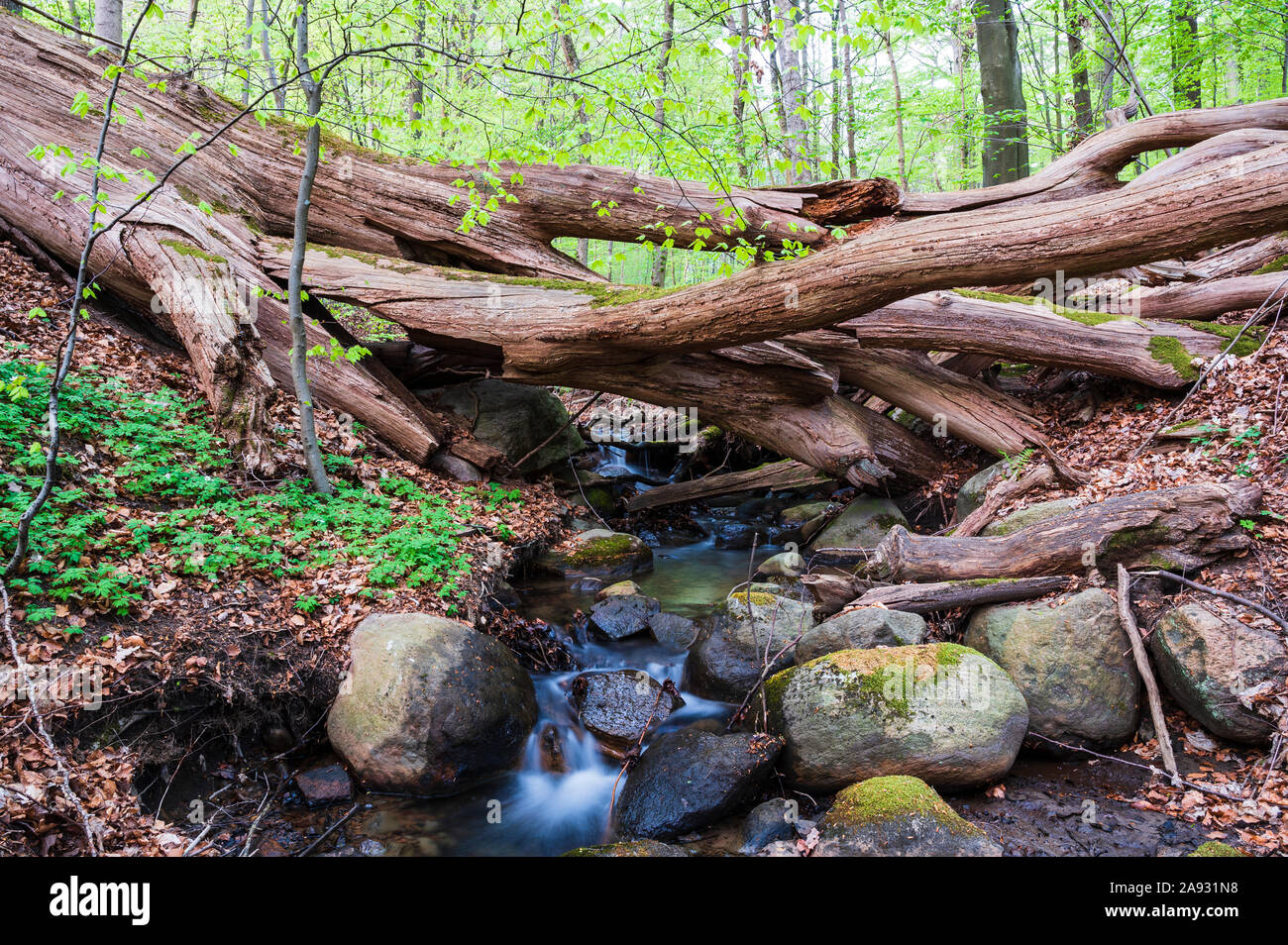 Stream with waterfall Stock Photo - Alamy