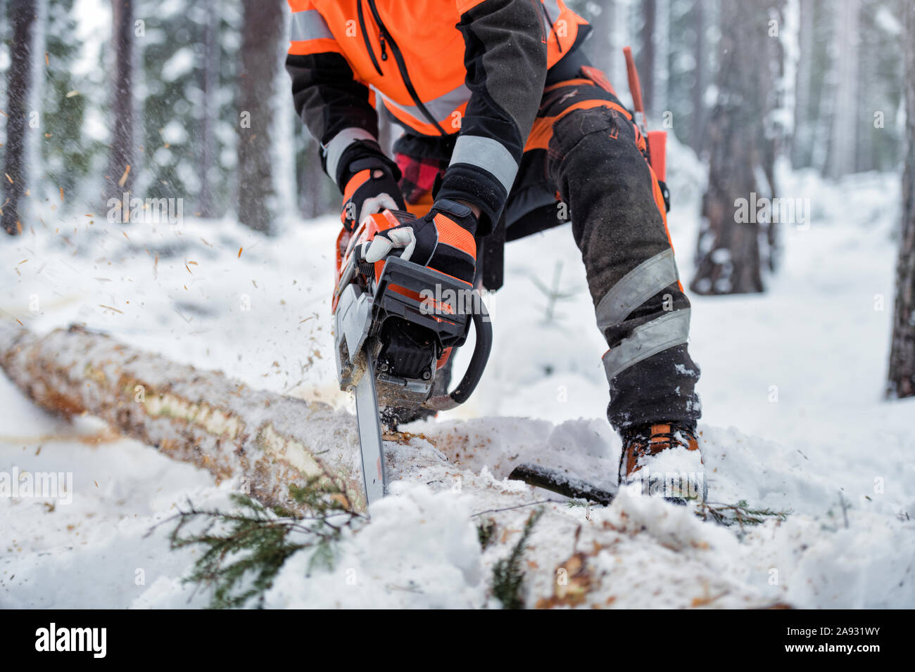 Lumberjack at work Stock Photo - Alamy