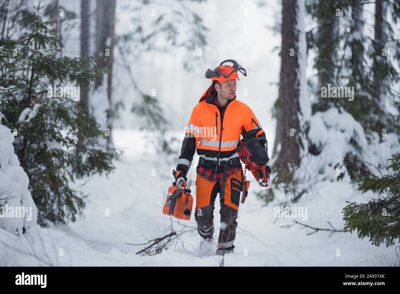 Knowledge forest hi-res stock photography and images - Alamy
