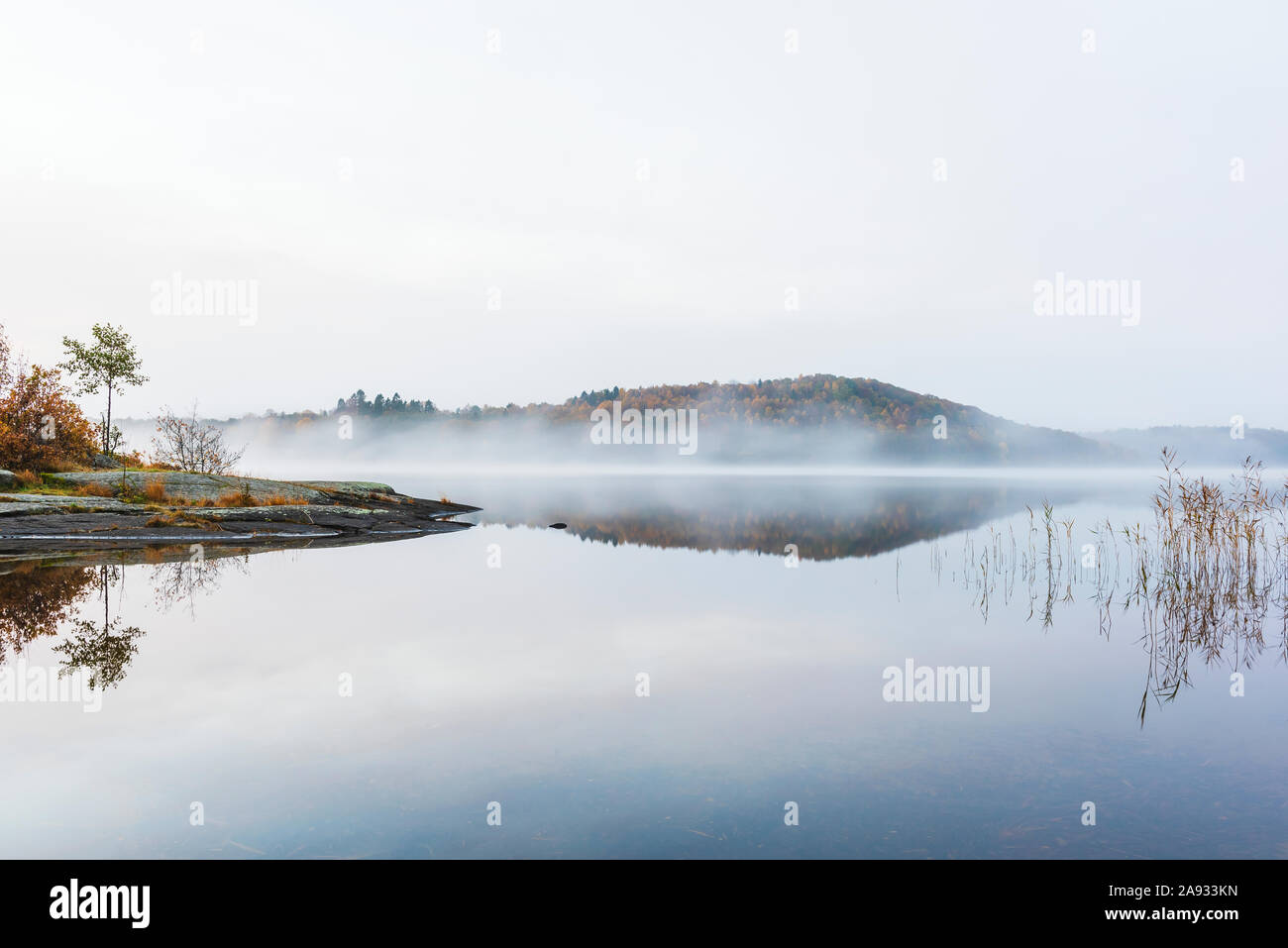 Lake in fog Stock Photo - Alamy