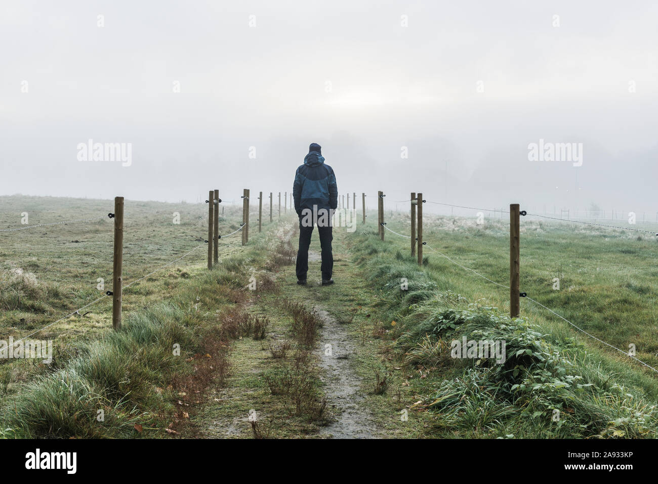 Man standing on path Stock Photo - Alamy
