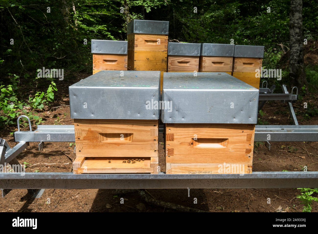 Commercial bee hives hi-res stock photography and images - Alamy