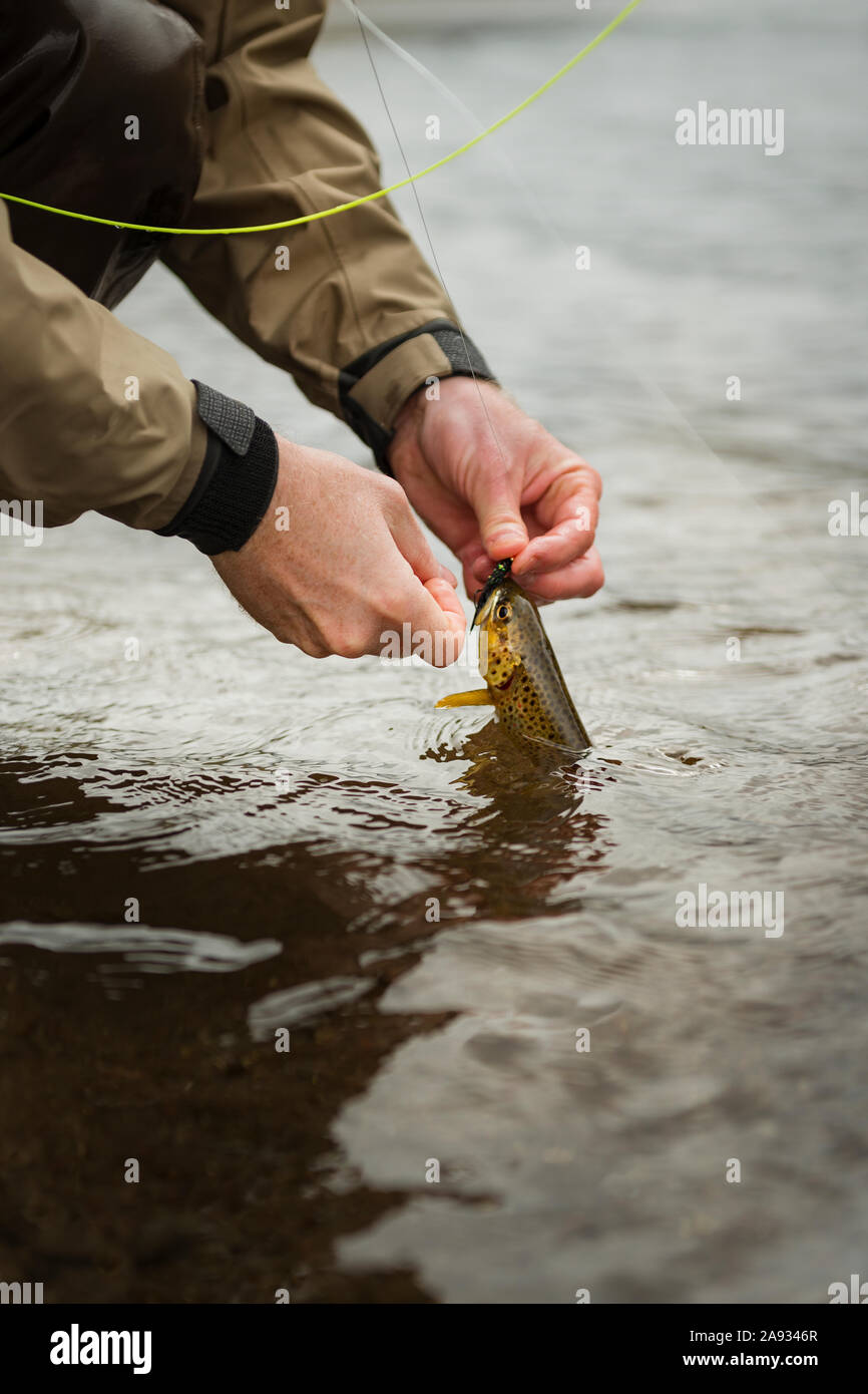 Man holding caught fish Stock Photo - Alamy