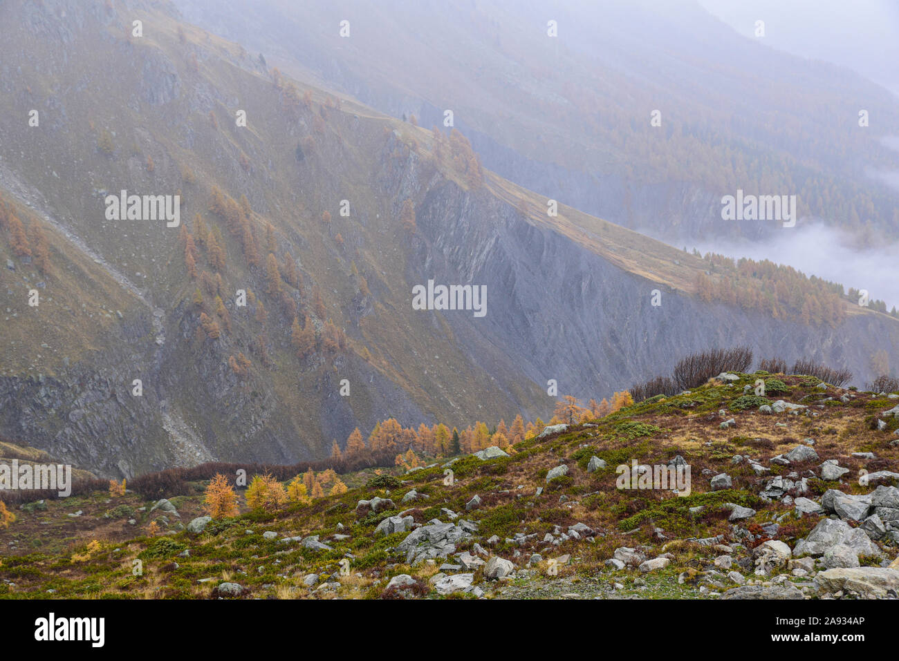 The colors of autumn in the mountains. Alps, Italy Stock Photo - Alamy