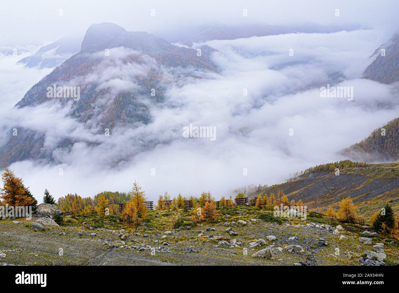 The colors of autumn in the mountains. Alps, Italy Stock Photo - Alamy