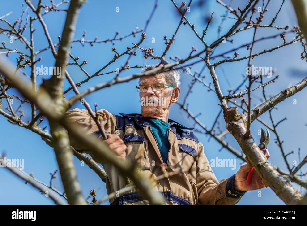 Man on tree Stock Photo - Alamy