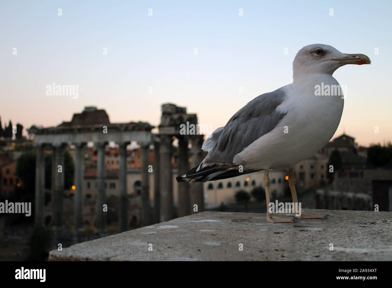 Birds eye view of rome hi-res stock photography and images - Alamy