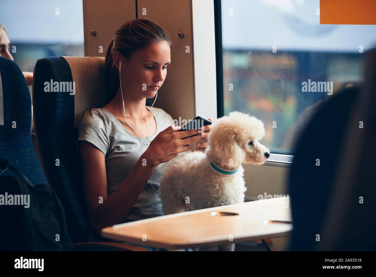 Man dog train hi-res stock photography and images - Alamy
