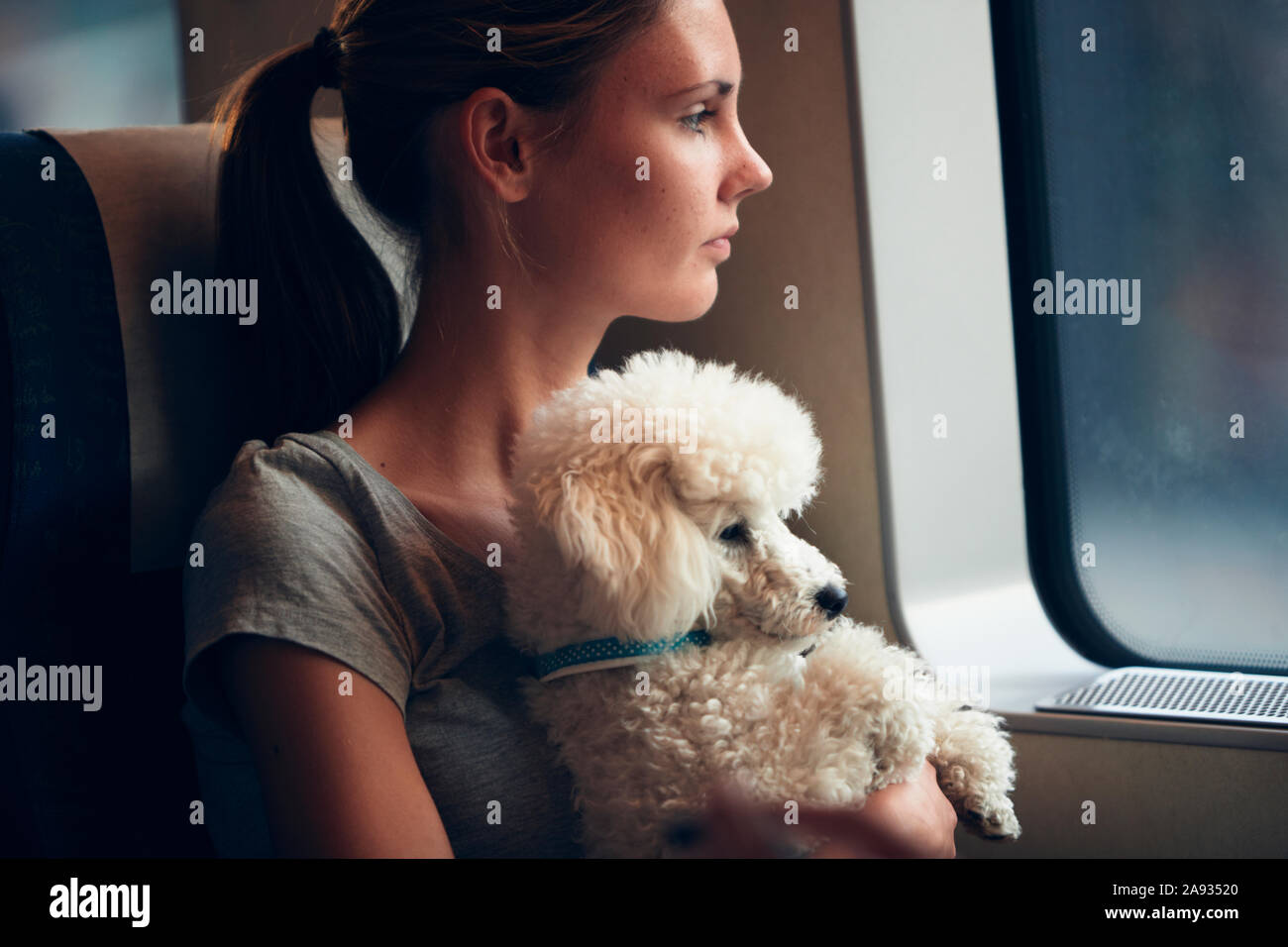 Woman with dog in train Stock Photo - Alamy