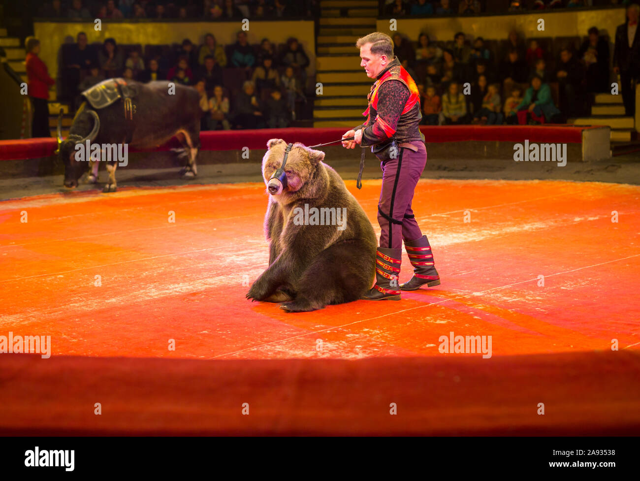 Circus arena hi-res stock photography and images - Alamy