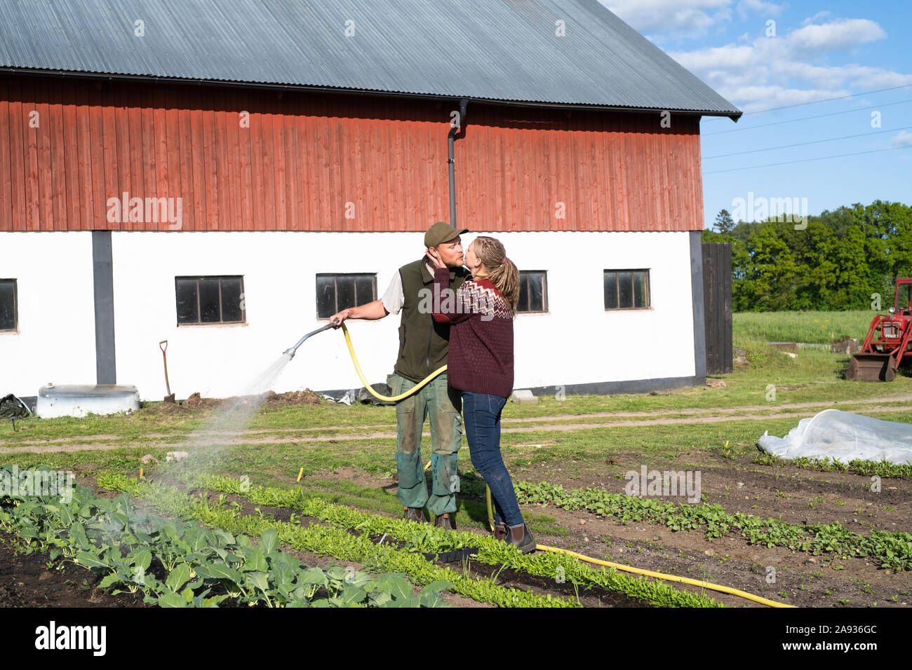 People working together cultivate hi-res stock photography and images ...