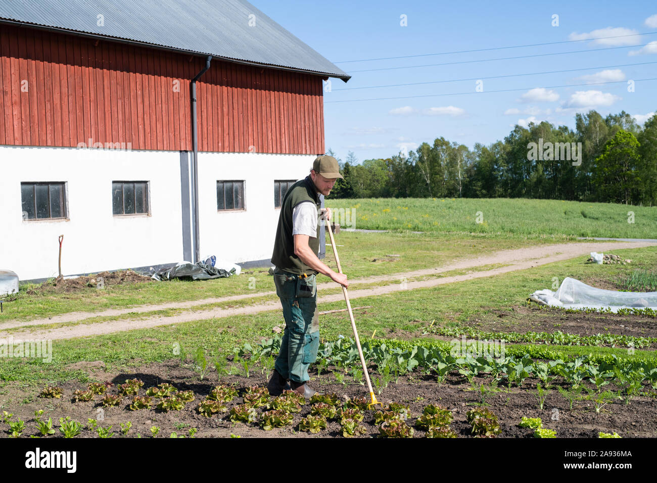 Man working on field Stock Photo - Alamy
