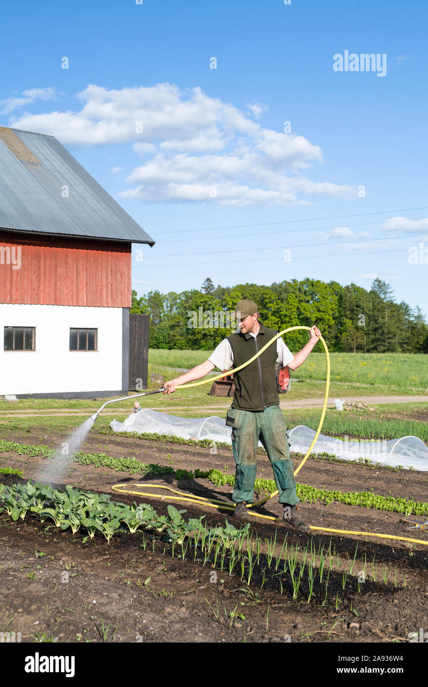 Farmer cultivate field hi-res stock photography and images - Alamy