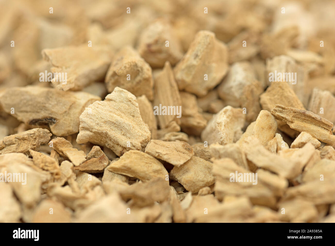 Kalmus Root High Resolution Stock Photography and Images - Alamy