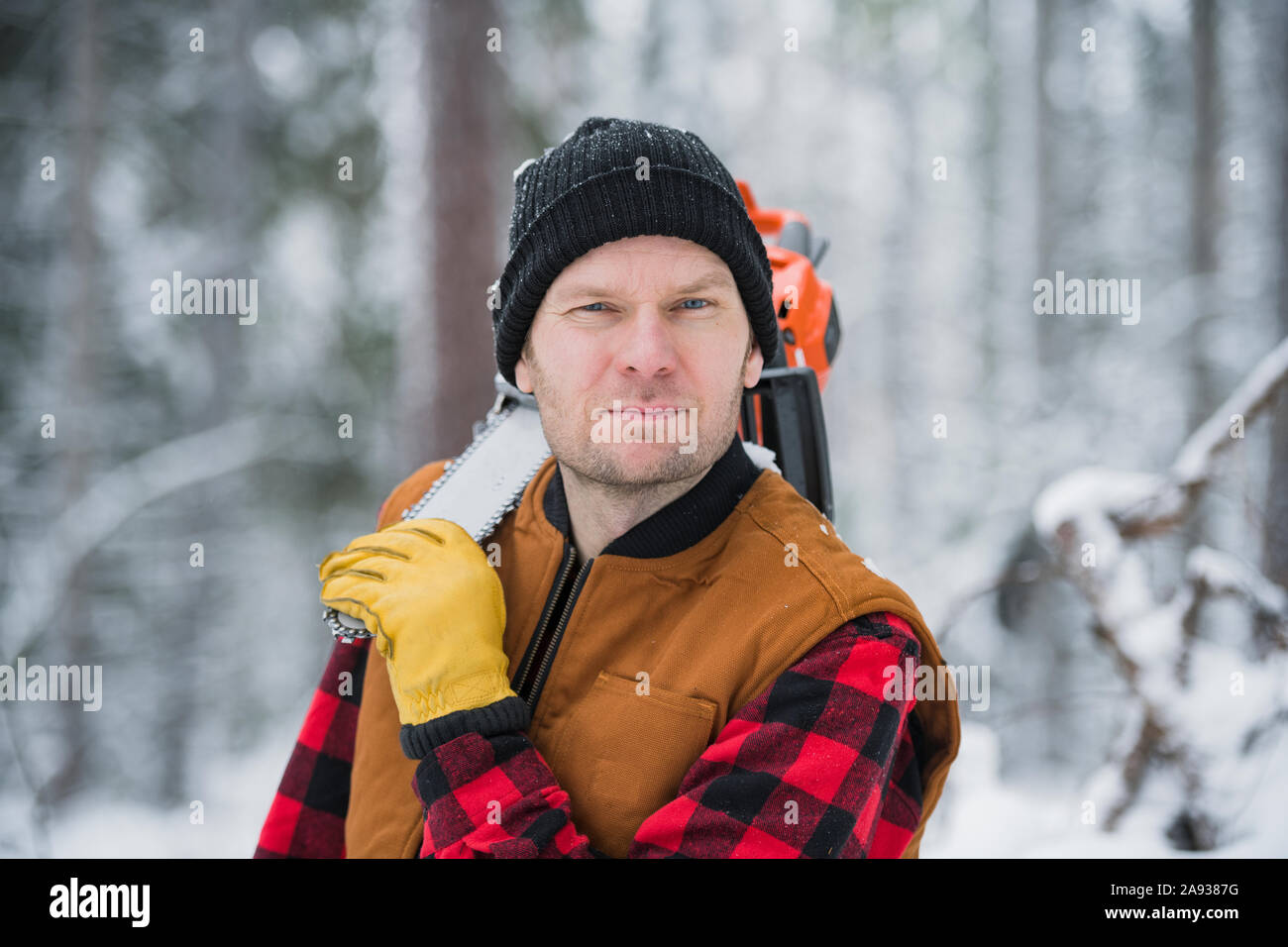 Lumberjack chainsaw shirt hi-res stock photography and images - Alamy