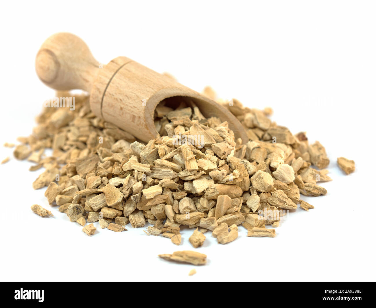 Calami rhizoma hi-res stock photography and images - Alamy