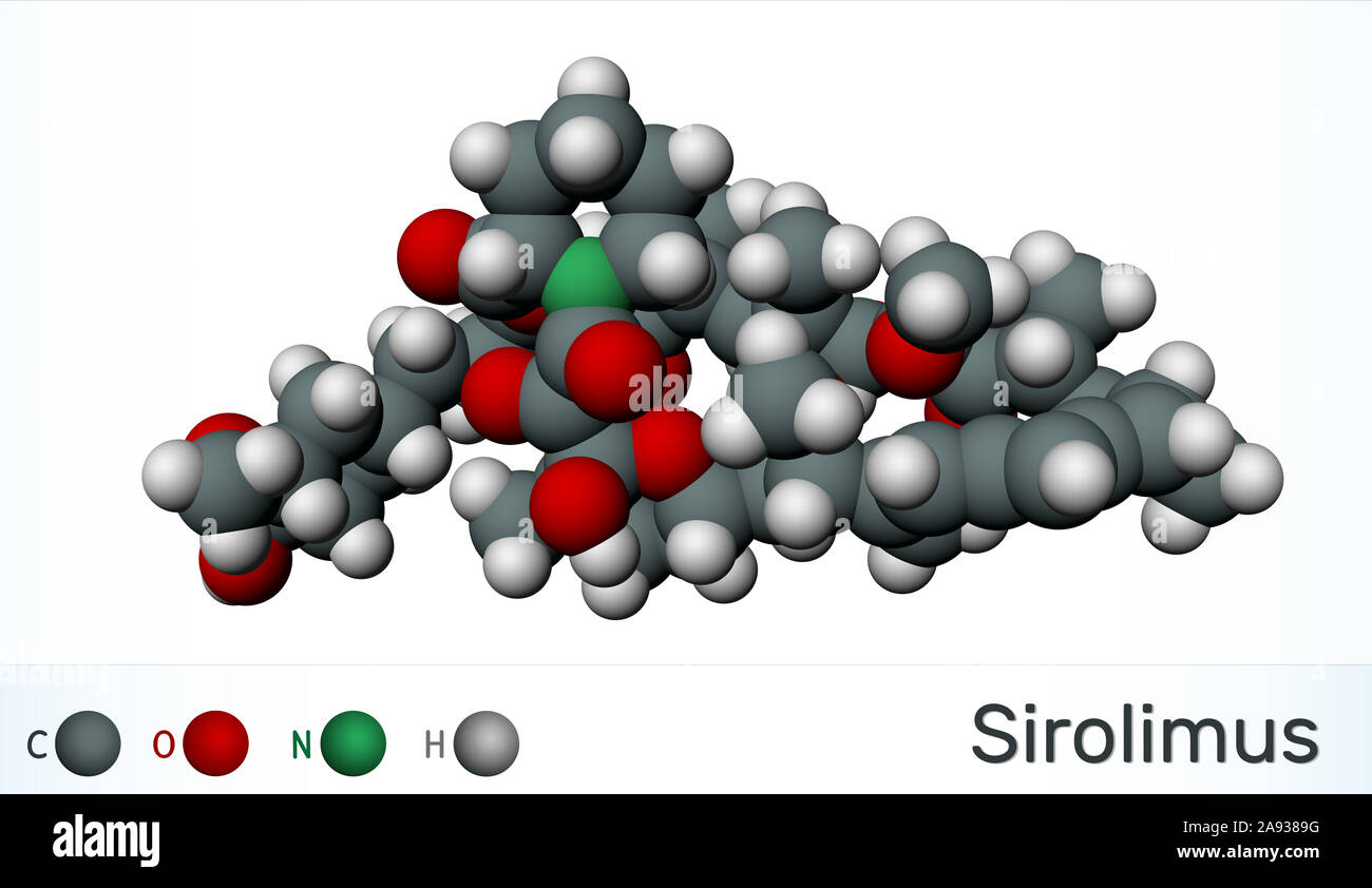 Sirolimus or rapamycin molecule. is a macrolide compound with ...