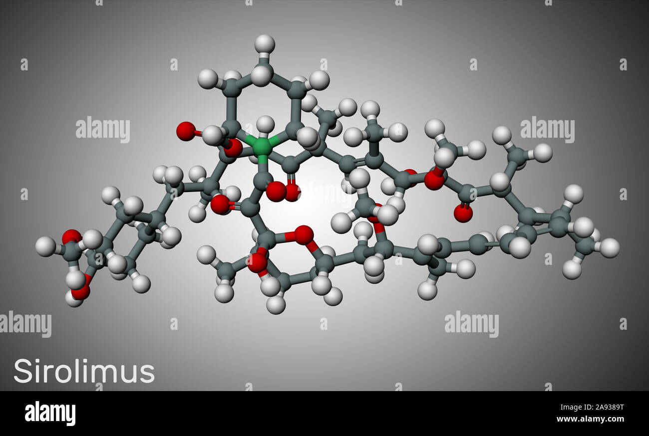Sirolimus or rapamycin molecule. is a macrolide compound with ...
