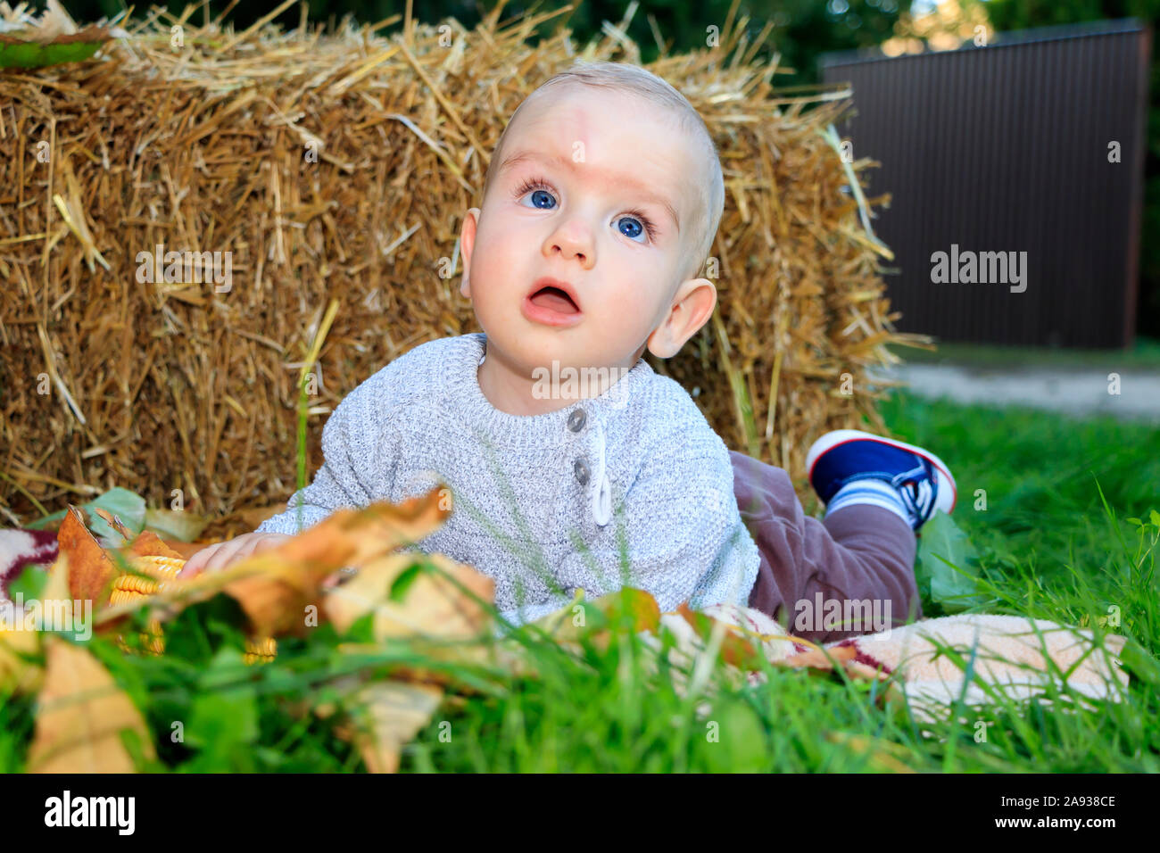 Cute little boy having enjoying countryside in autumn garden around ...
