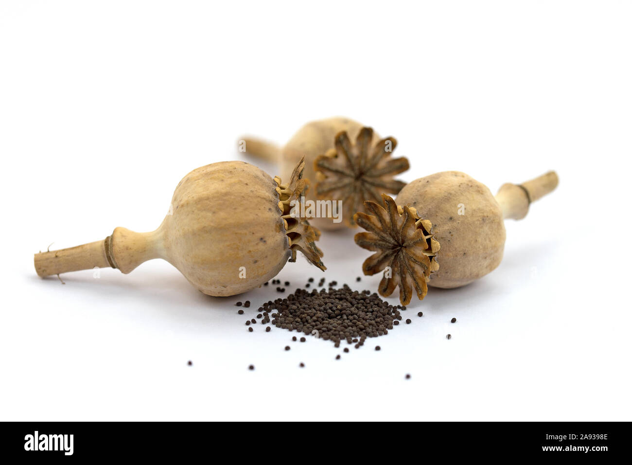 Poppy seed capsules hi-res stock photography and images - Alamy