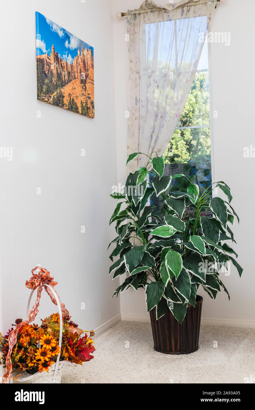 greenery within homes Stock Photo - Alamy