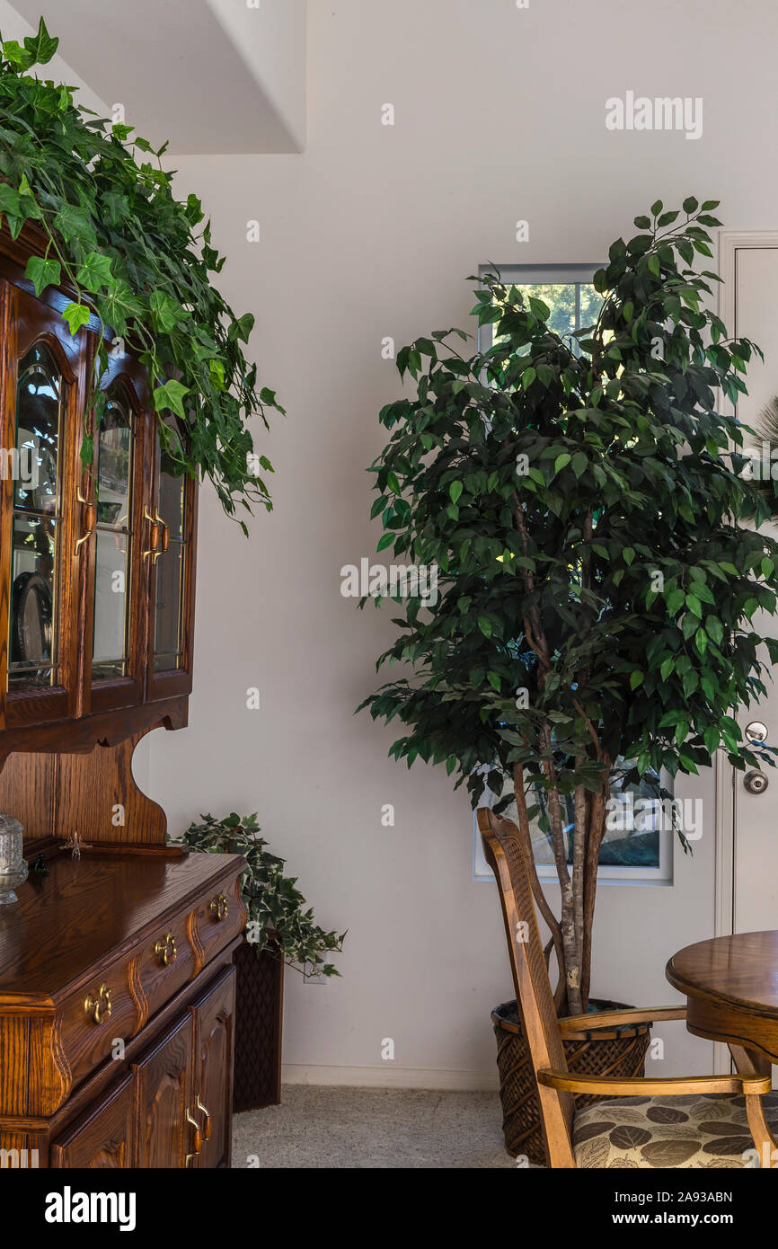 greenery within homes Stock Photo - Alamy