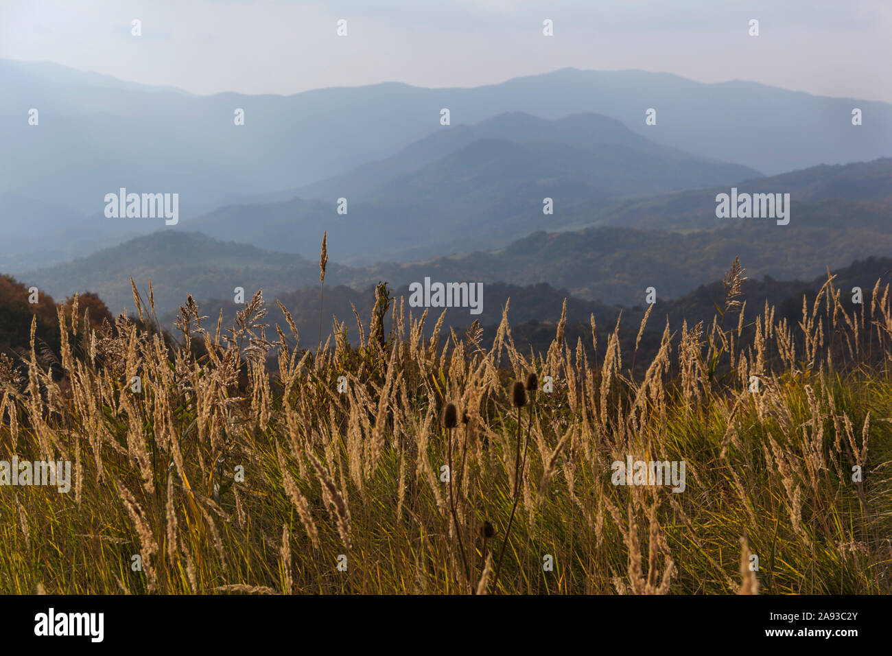 Landscape of ancient Kakheti, from the pass views of the Alazani Valley ...