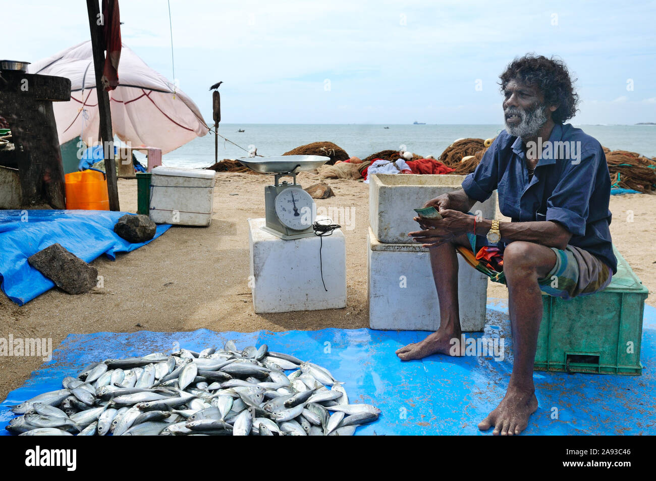 Galle fish market hi-res stock photography and images - Alamy