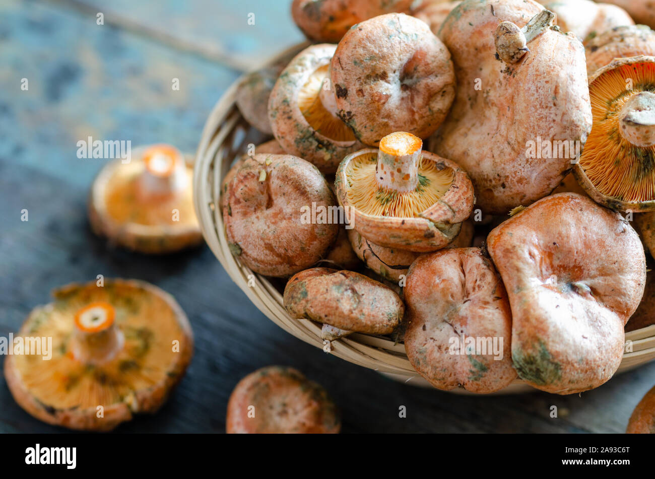 Estonian mushrooms hi-res stock photography and images - Alamy