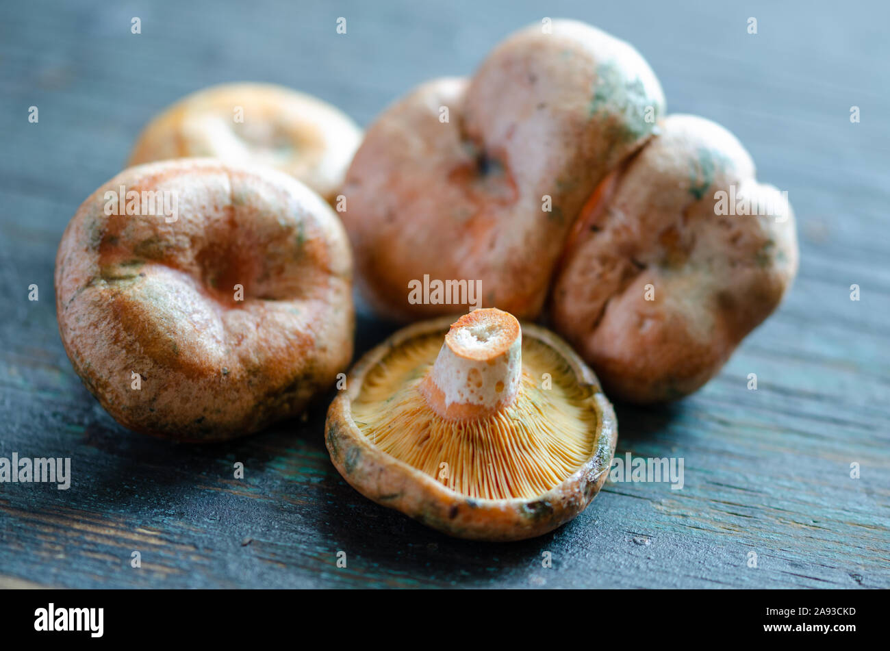Fresh Spruce Milkcap mushrooms on wooden table Stock Photo - Alamy