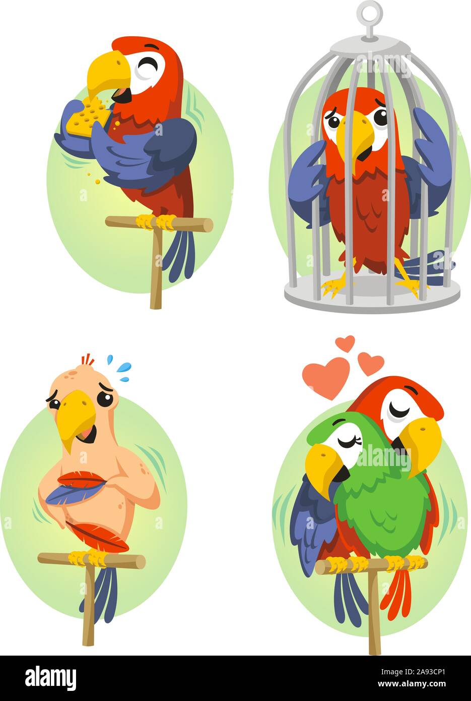 Parrot in cage Cut Out Stock Images & Pictures - Alamy