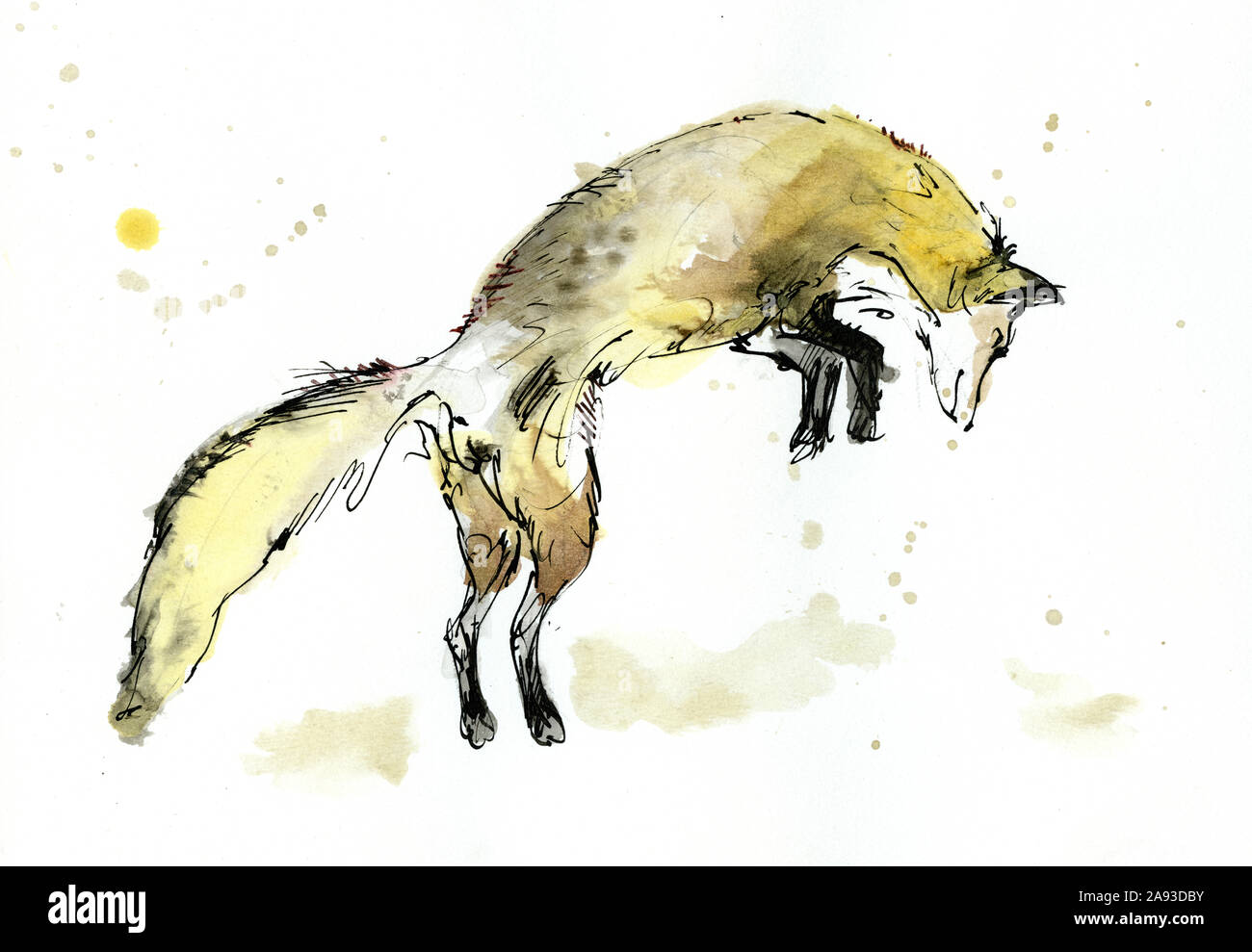 Fox jumping illustration hi-res stock photography and images - Alamy