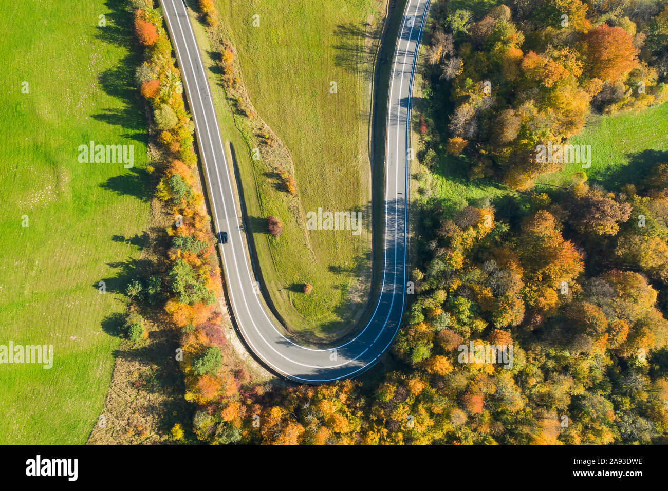 Drone view - Aerial view of autumn forest road. Top view of beautiful ...